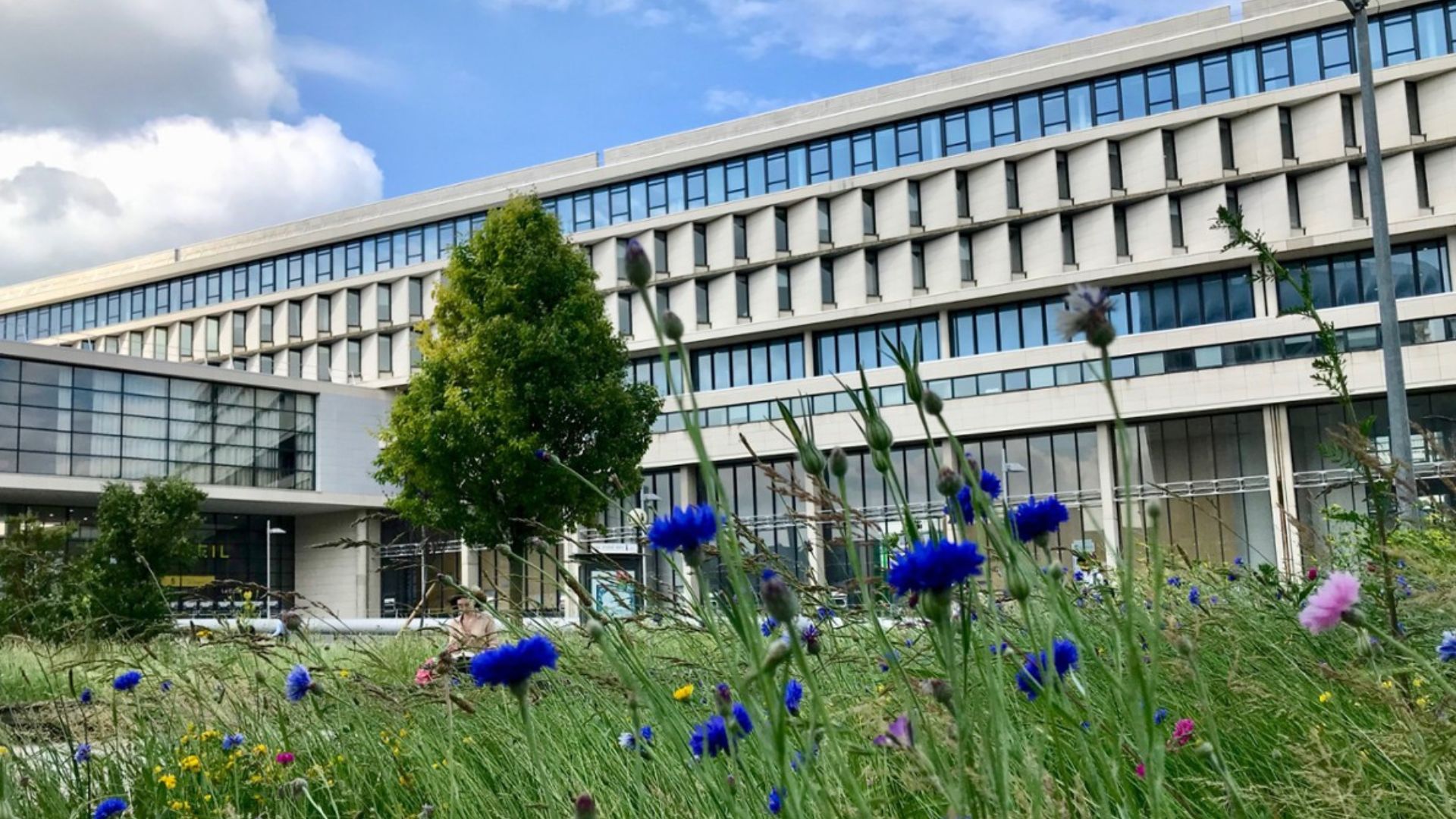 CY Cergy Paris Université obtient le label DD&RS - Objectif AST